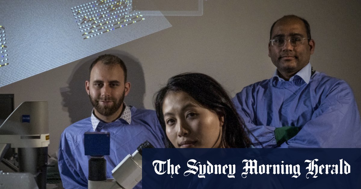 Melbourne scientists teach brain cells in a dish to play Pong, opening ...