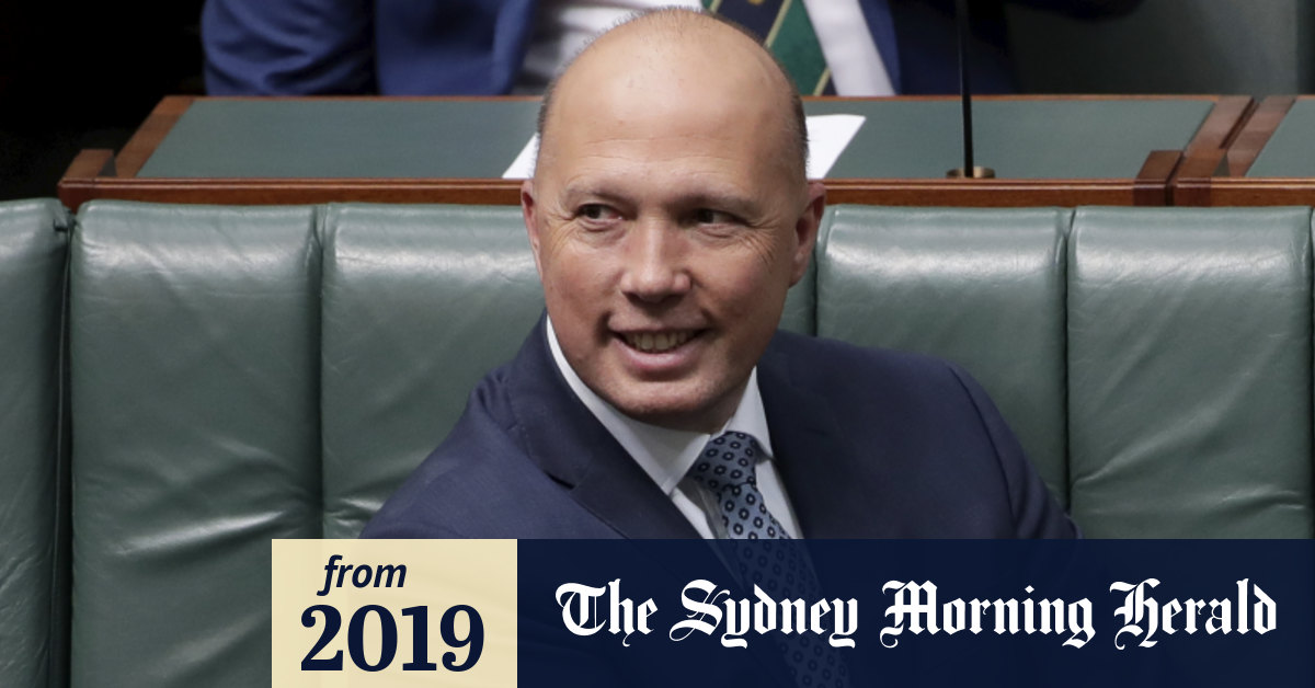 How Peter Dutton emerged from the federal election shadows