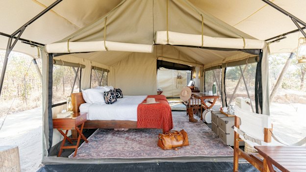 Luxury walking safari in Zambia: Wildlife encounters at Time + Tide ...