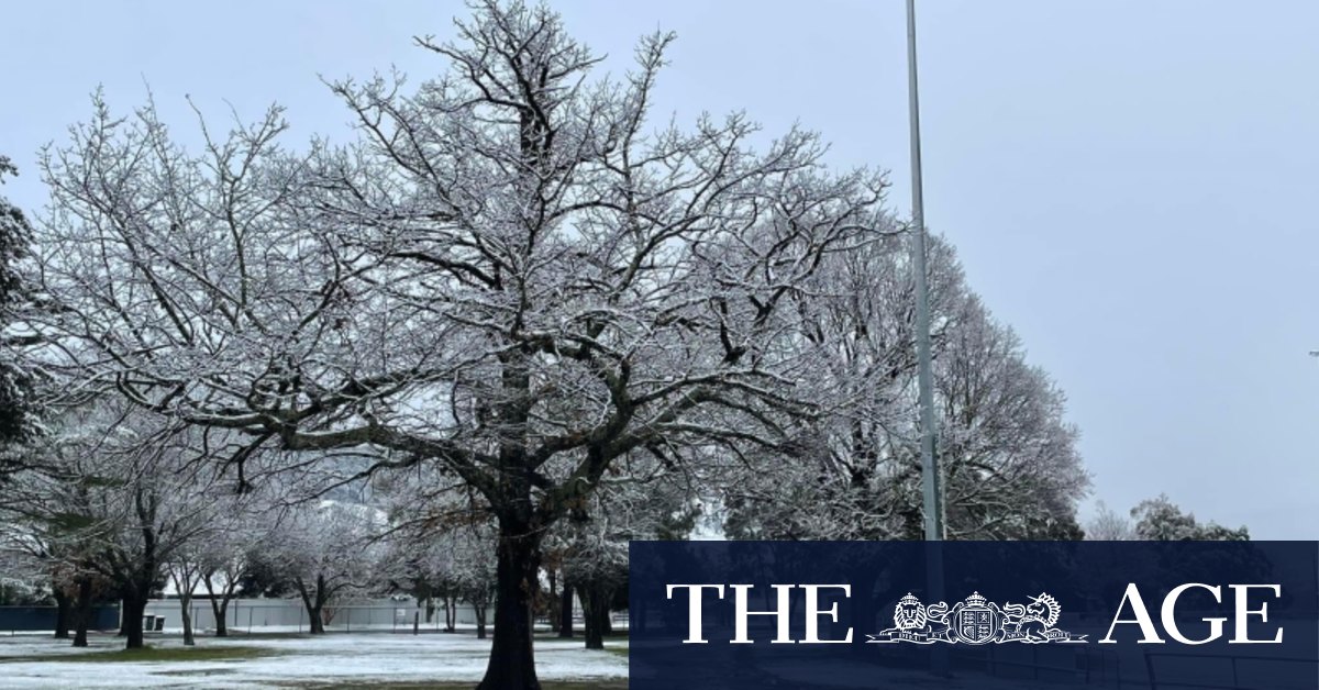 Victoria weather: Sunny days on horizon after late winter blast