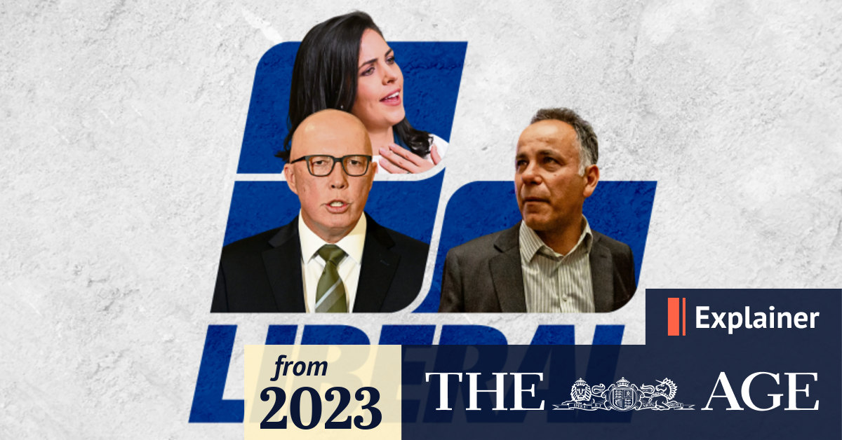 What Peter Dutton can do about John Pesutto Moira Deeming crisis in ...