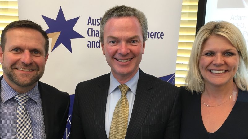 EY partner struggles on Pyne's role at firm