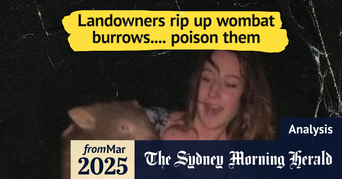 Sam Jones: Fact-checking American influencer who grabbed a wombat made ...