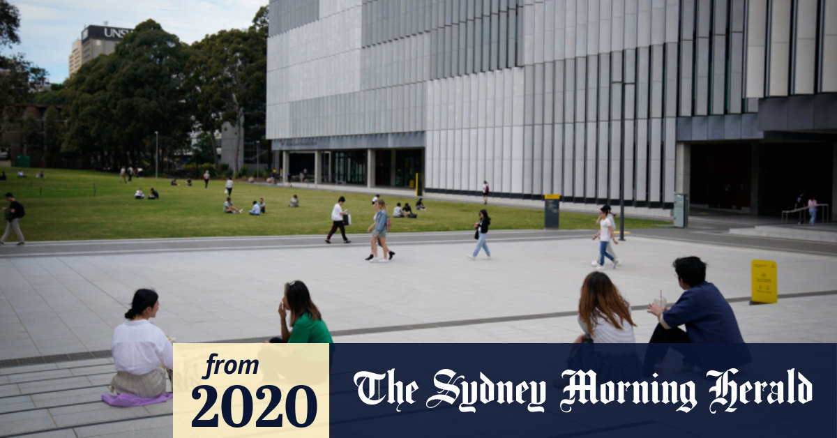 Class sizes soar at UNSW during COVID-19