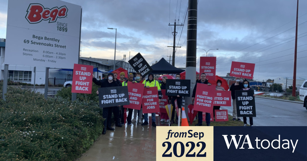 Bega dairy workers on strike in WA