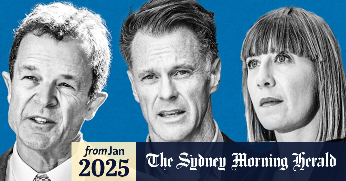 What did NSW politicians study at university?