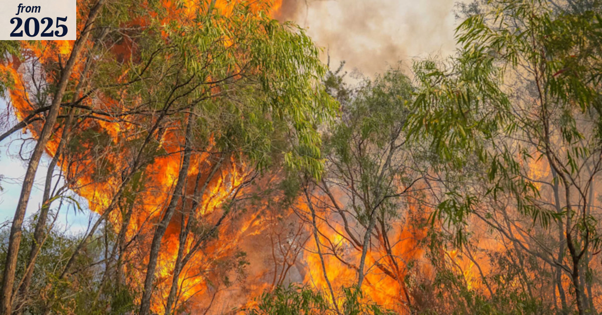 Thunderstorms, high winds fuel dangerous bushfires in WA’s Great Southern