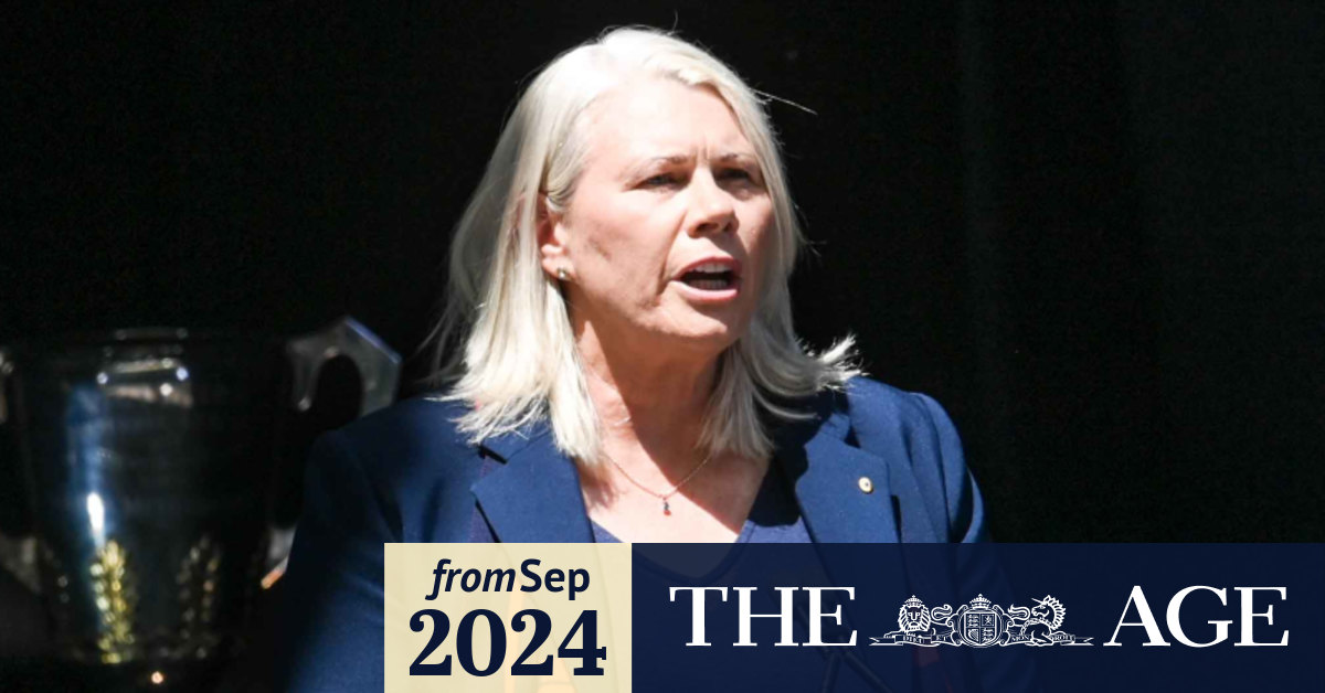 AFL 2024: Melbourne Demons president Kate Roffey steps down immediately