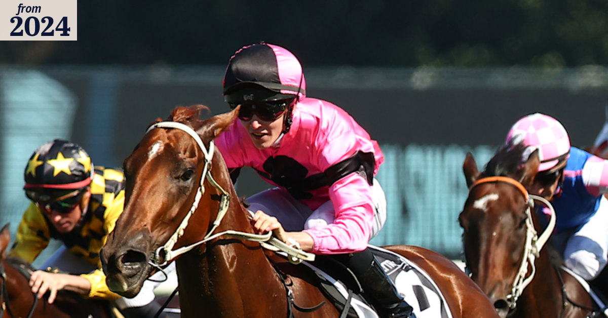 ‘He’s got brains’: Niceforo hopes Territory Express can outsmart rivals ...