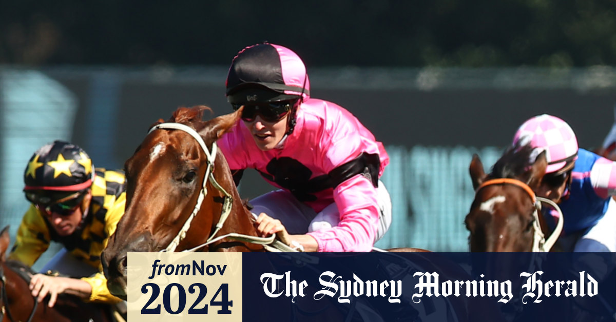 ‘He’s got brains’: Niceforo hopes Territory Express can outsmart rivals ...