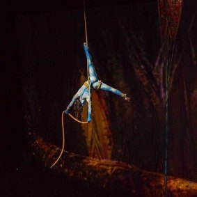 Locked-down circus performers bouncing off the walls