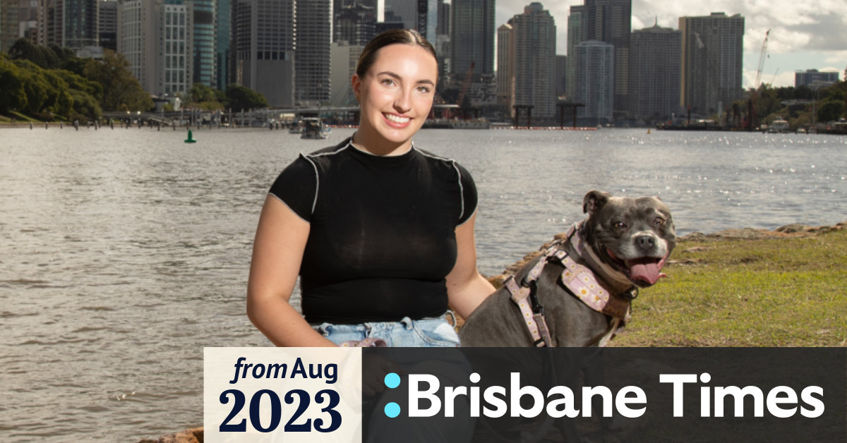 Brisbane’s most popular dog breeds by postcode