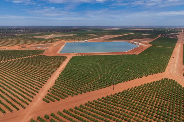 RRG Capital Management puts Koompartu Farms almond orchard and Nambucca ...