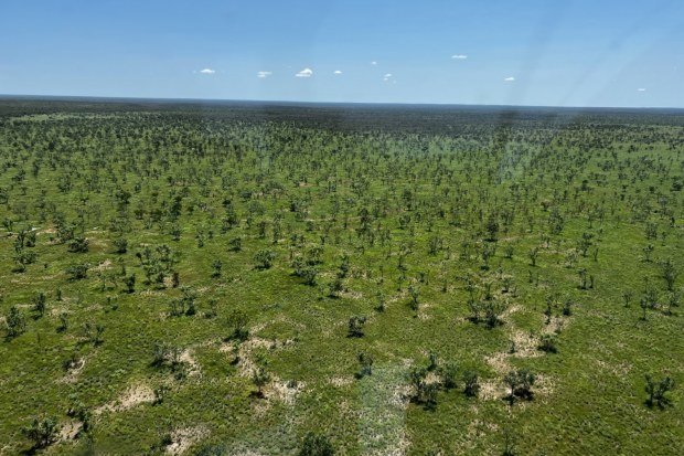 US giant Hartree quits NT cattle station Benmara amid carbon confusion