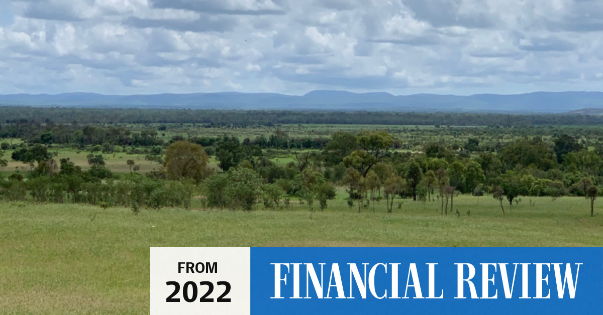 Fund Managers Consolidated Pastoral Company and WealthCheck snap up ...