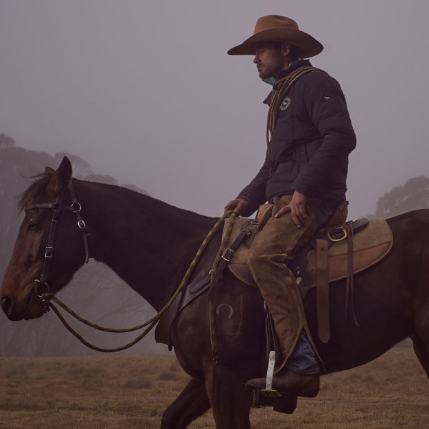 The imminent brumby cull in the Australian alps