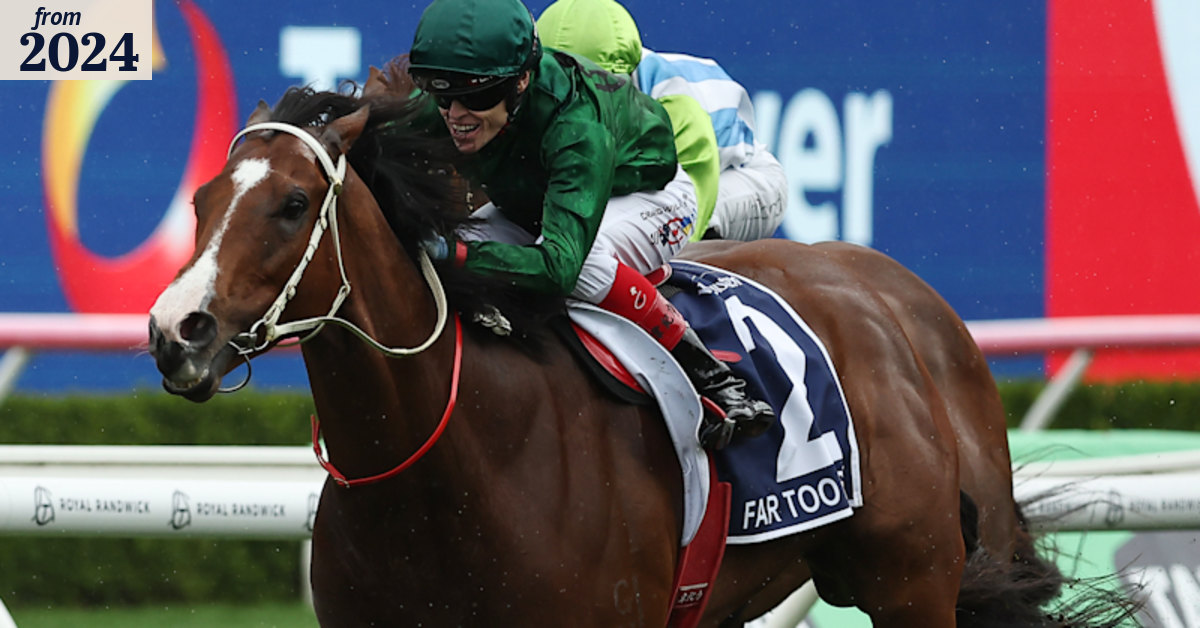The Hunter 2025: David McColm confident Far Too Easy can salute in ...