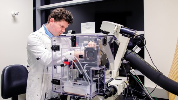 The scientist helping other scientists break through the 'big-data ...