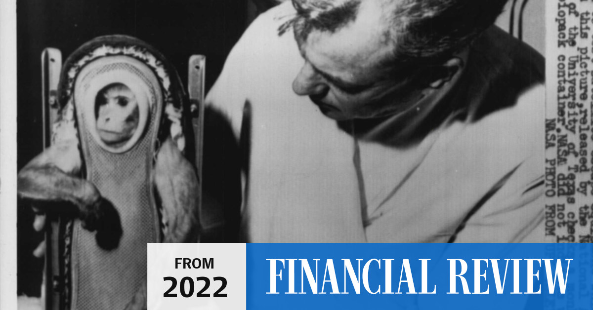 ‘Mammoth’ author Chris Flynn on how learning to fly helped him write ...