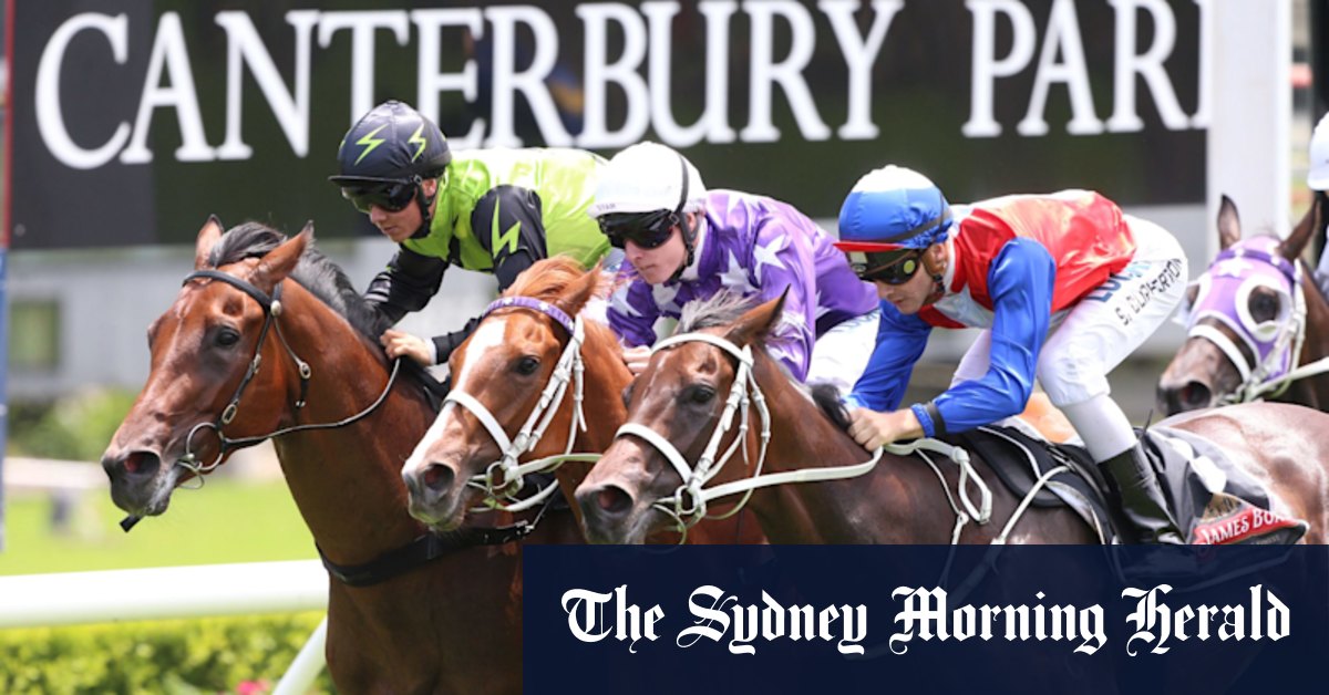 Vanessamean xxx mamasan led me to a room and had me wait a