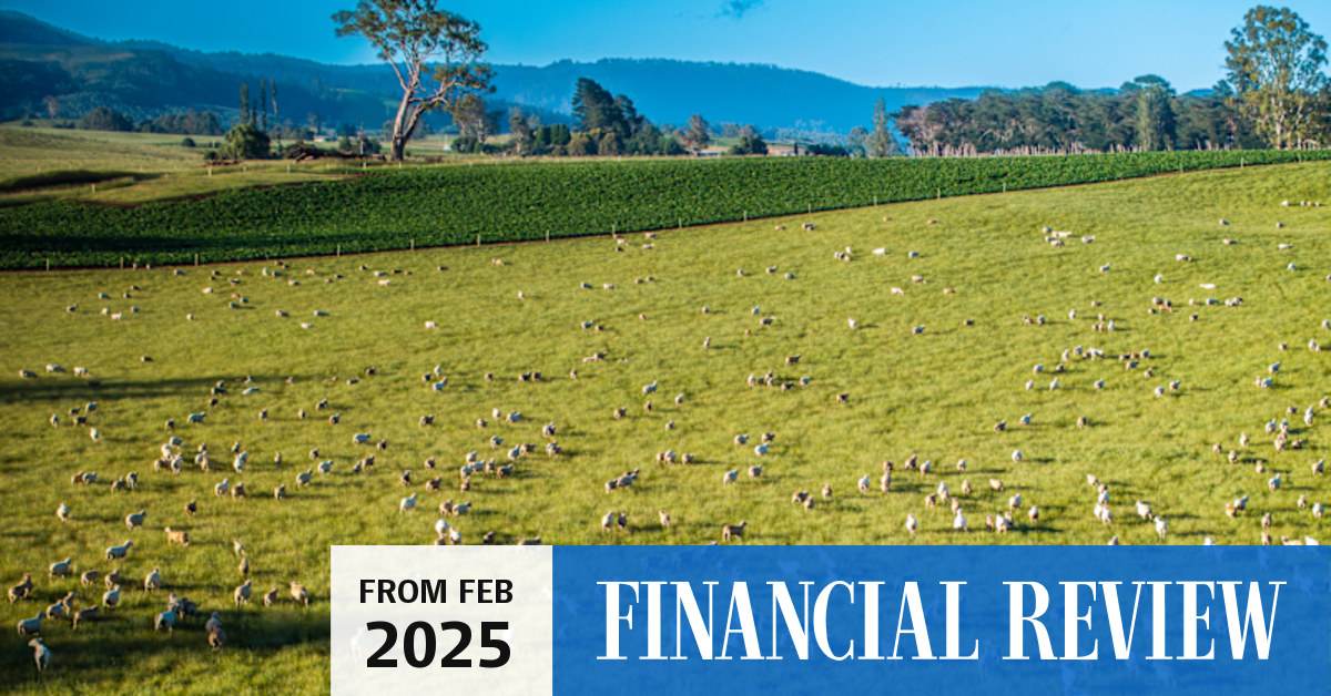 Rural property: Outback Queensland Wagyu powerhouse to test appetite ...