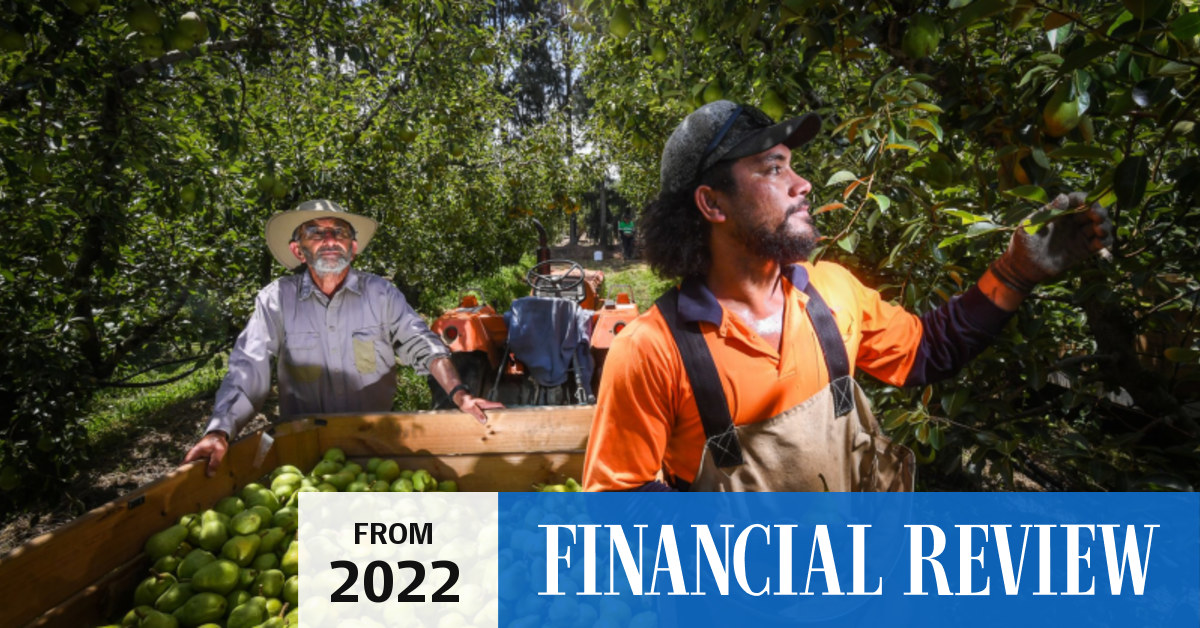 FC Capital loaned $120m to fruit grower chaired by its founder