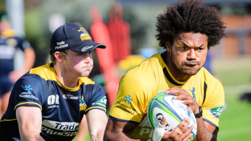 Five reasons why Canberra rugby fans should go to the Brumbies game
