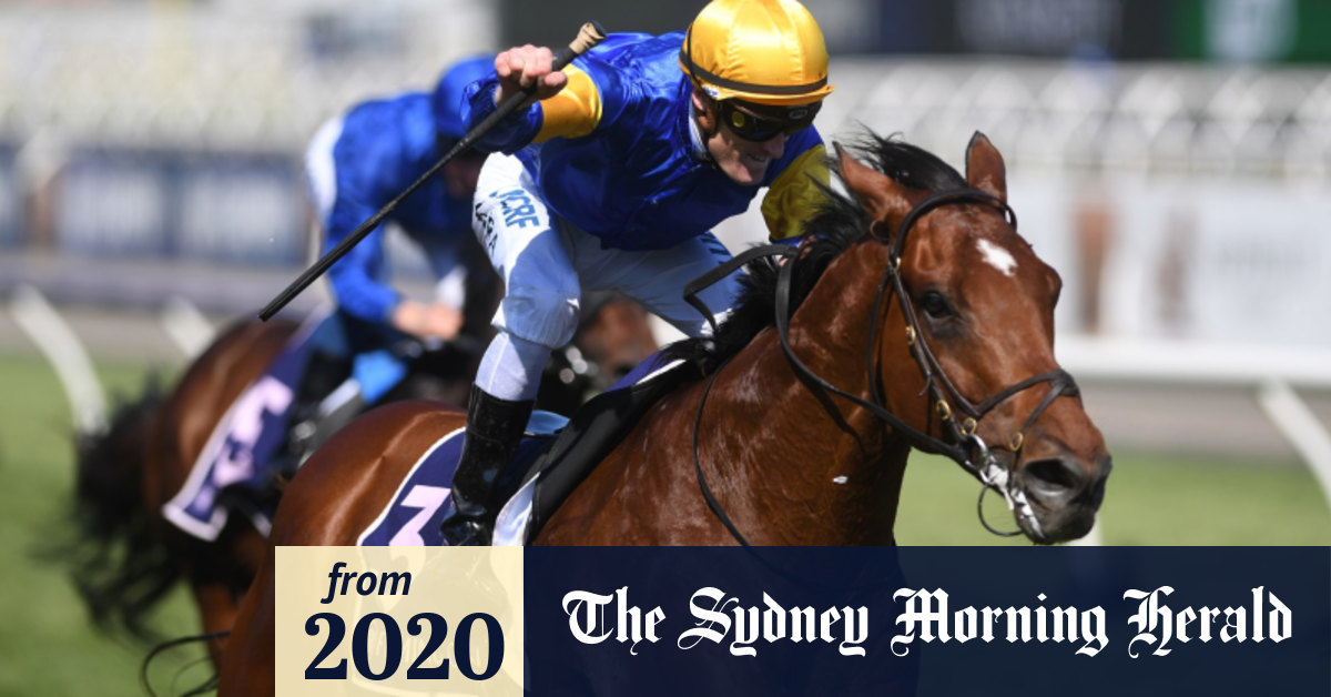 Chances galore on final day of Sydney carnival