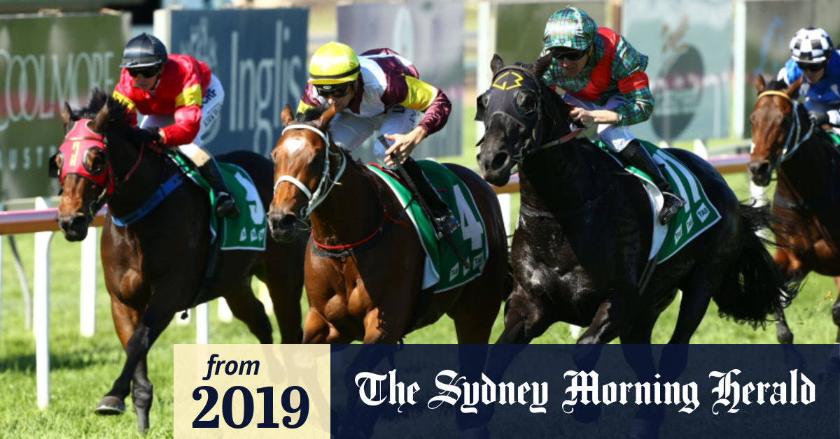 Race-by-race guide and tips for Scone on Saturday