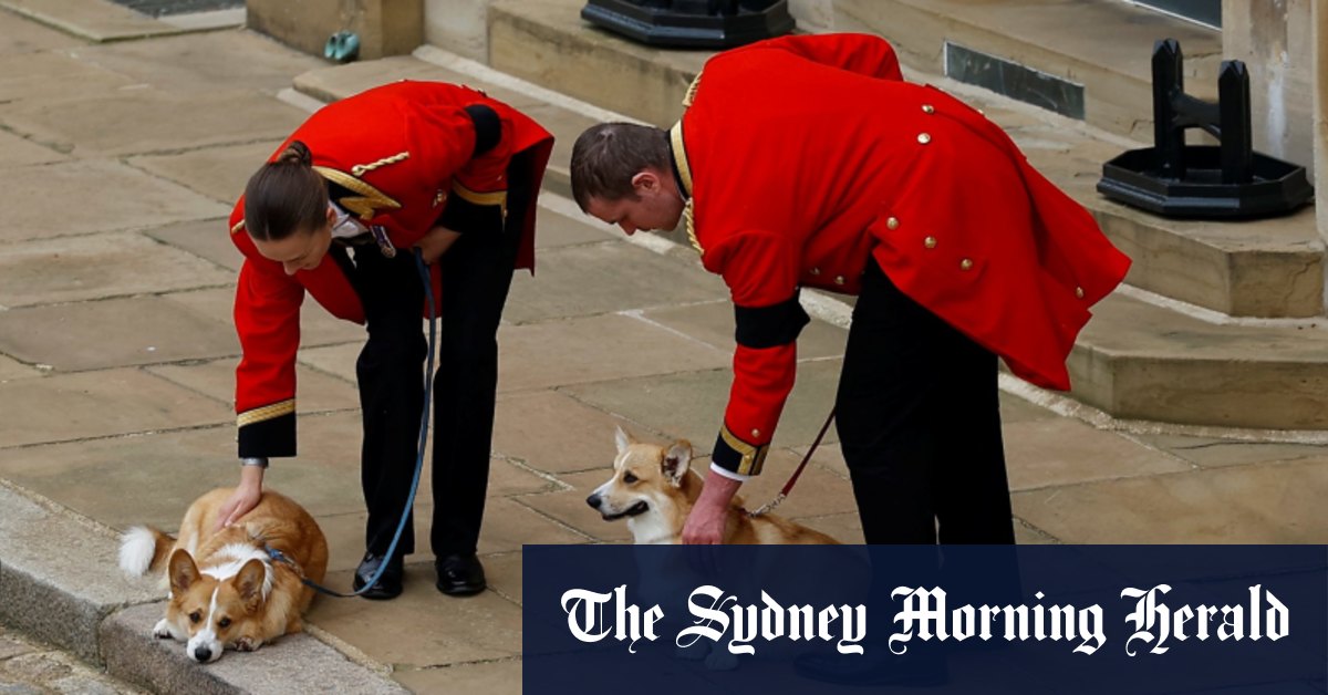 Queen Elizabeth’s funeral: Corgis, a salute and other major moments