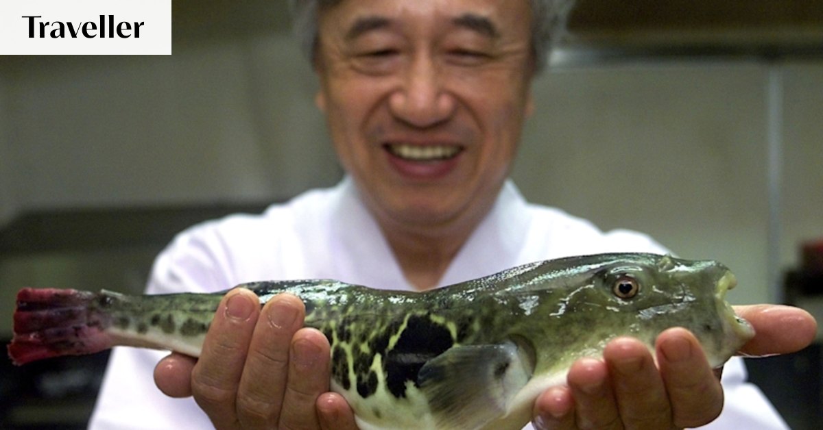 What is fugu? This Japanese fish delicacy is notorious the world over