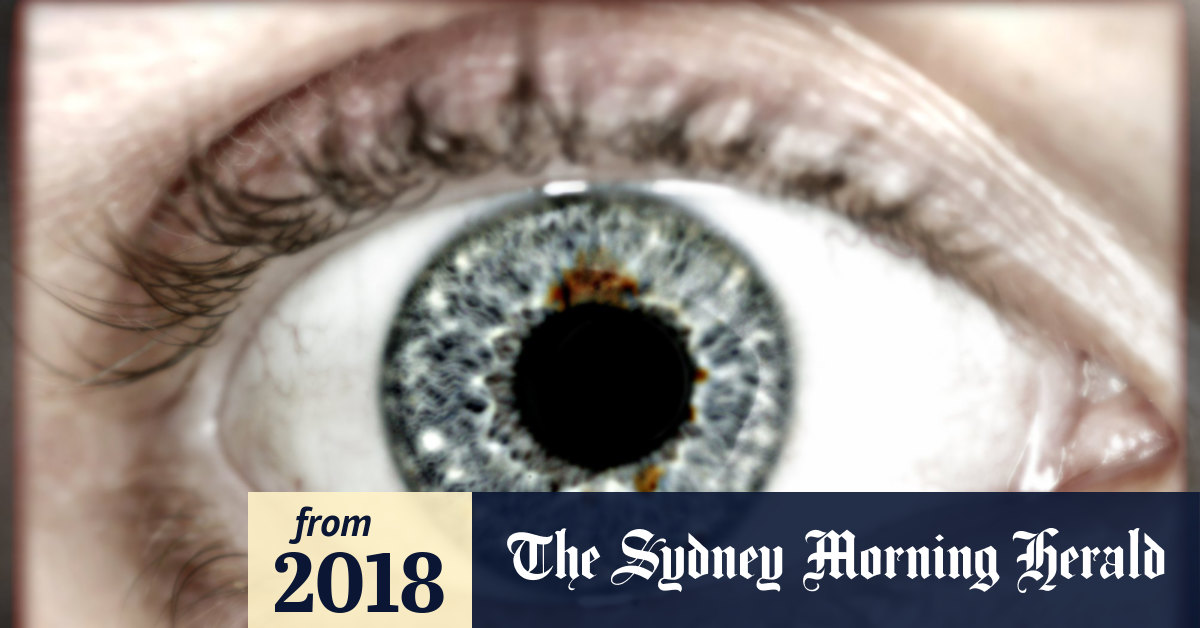 Singapore tests eye scans at checkpoints