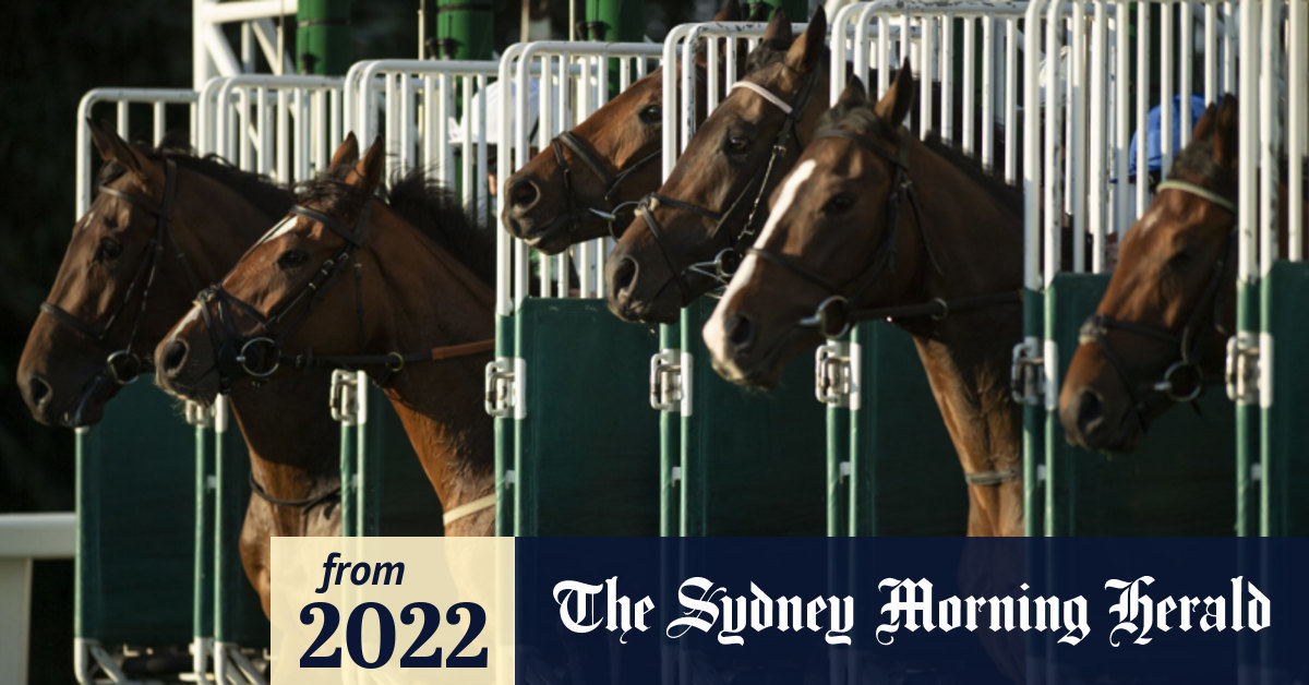 Taree races Monday tips and full preview