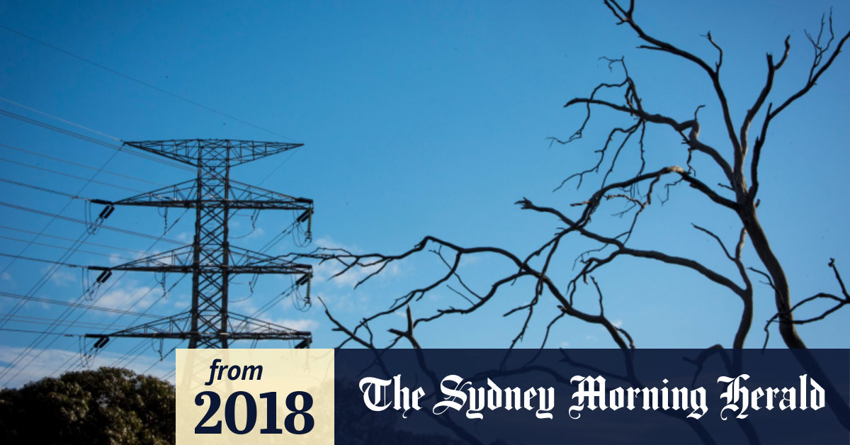'No likelihood of relief ahead': Future power prices continue to rise