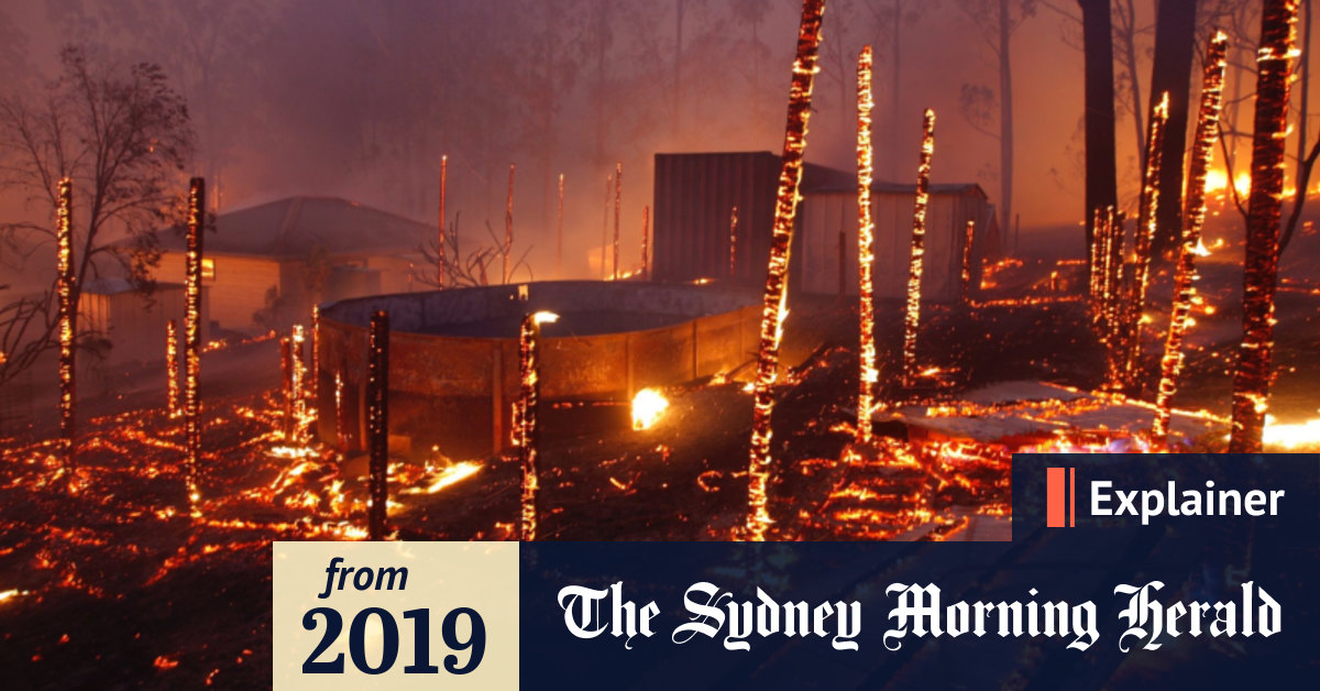 Australia fires: Is climate change responsible for bushfires