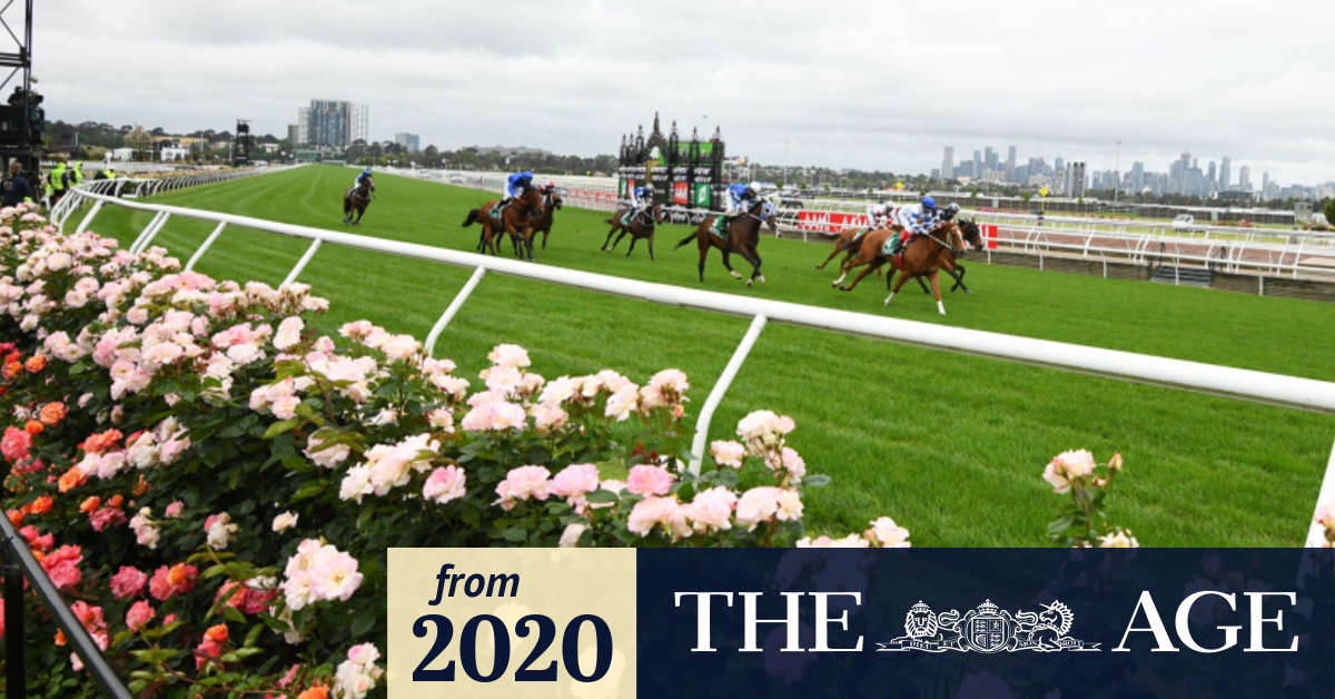 Melbourne Cup: Flemington's roses in full bloom but few can admire them