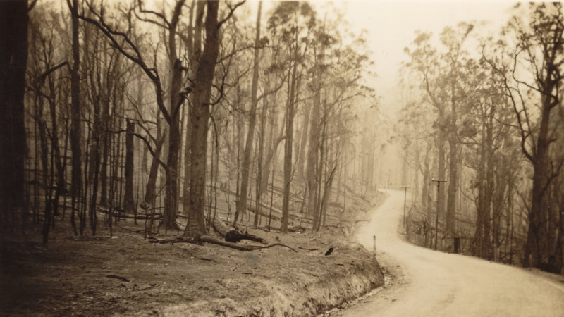 Black Friday bushfires: the lessons learnt (and perhaps forgotten)