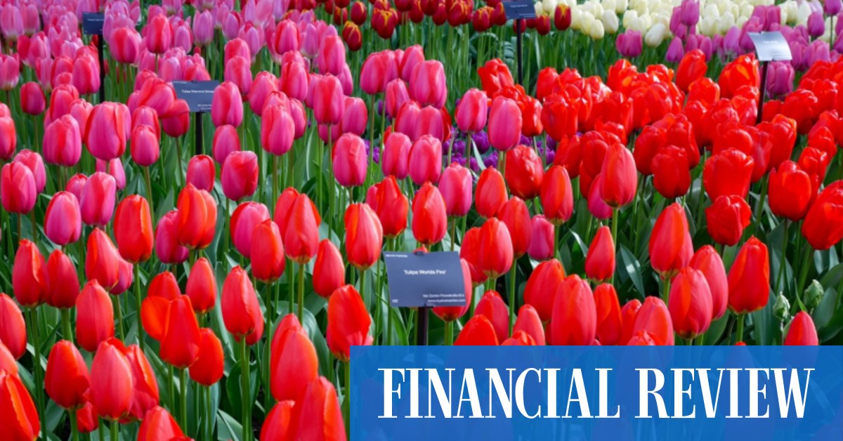 Wall Street: ‘This bull market has legs’: Bank of America’s Savita ...