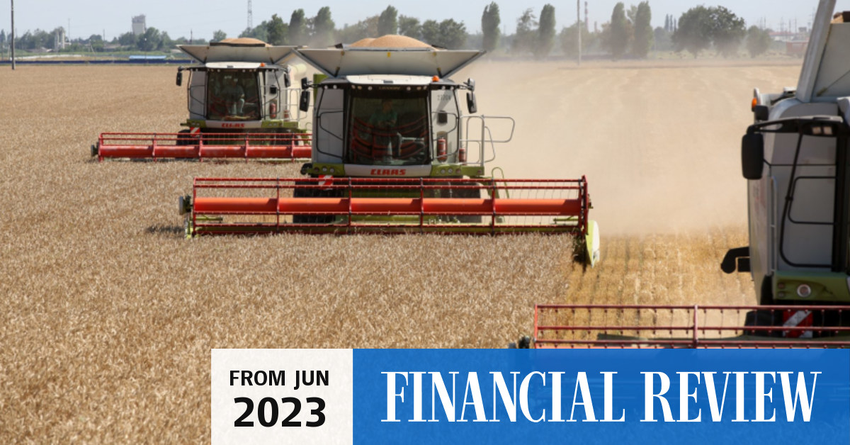Russia-Ukraine war: Wheat reaches four-month high as traders assess ...