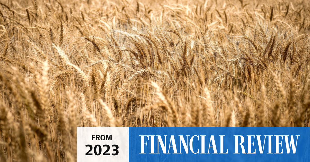 Bunge, Viterra grains mega-merger to reshape Australian farm exports