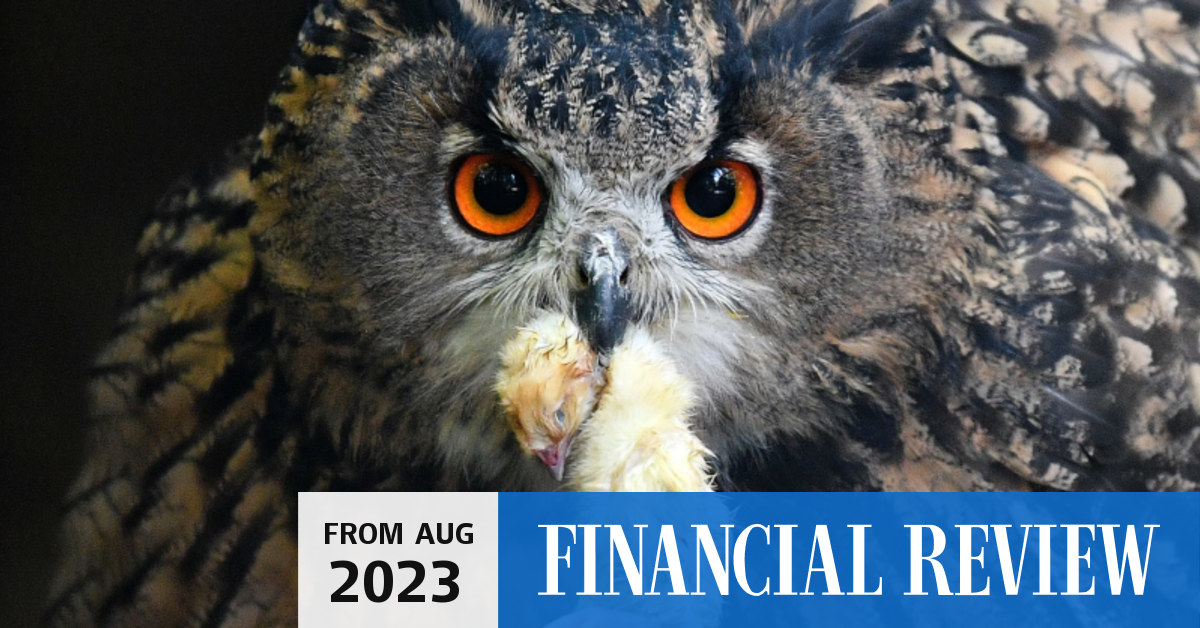 Jennifer Ackerman’s What An Owl Knows is a fascinating insight into the ...