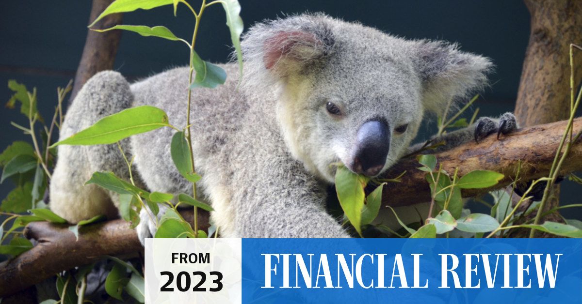 CBA and RBA work on creating a new market for “nature repair” with ...