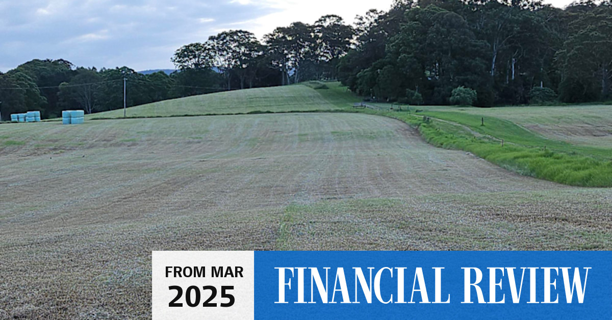 Property development: NEX Building Group concerned crackdown on foreign ...