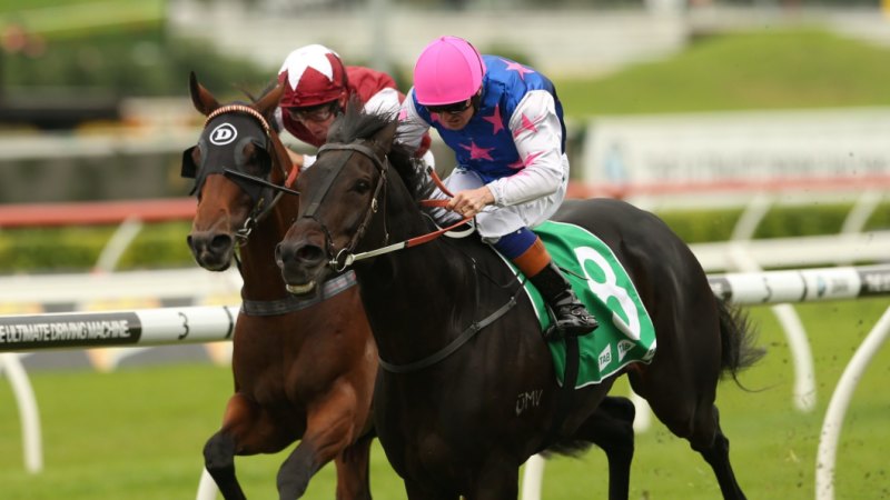 Race-by-race guide and preview for Wagga on Tuesday