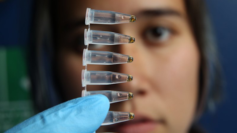 'Orphan' rare diseases focus of new federal government support plan