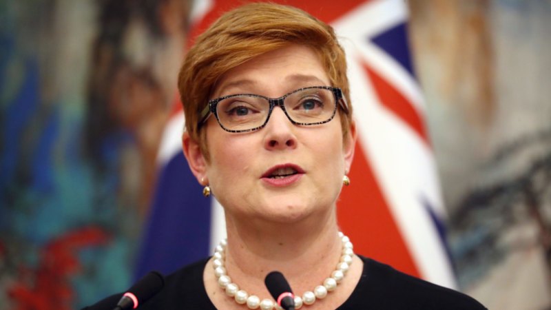 Marise Payne says female MPs quotas for Liberals should be part of debate