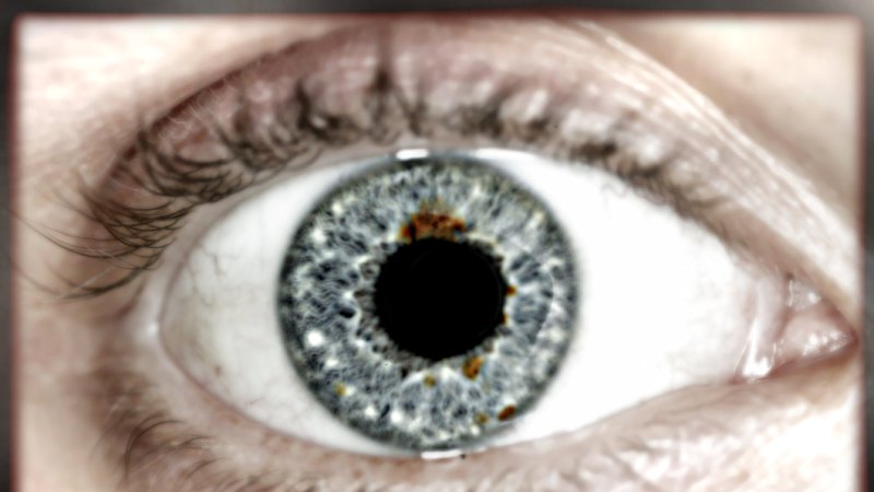 Singapore tests eye scans at checkpoints