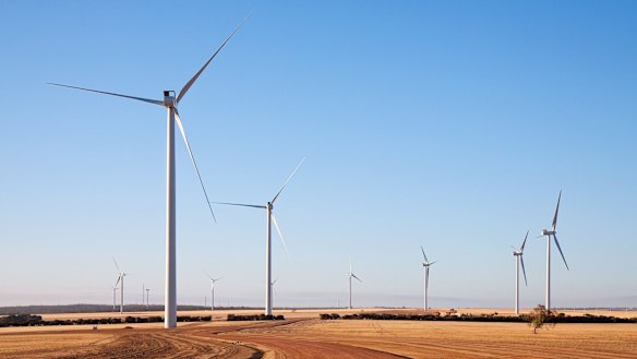 WA lags all other states in race for renewable energy exports: WWF report