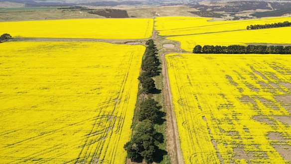 Australian biofuels industry: $1.1 billion investment aims to make ...