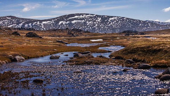 Gone fishing: Trout streams in tip-top condition after rain and snow